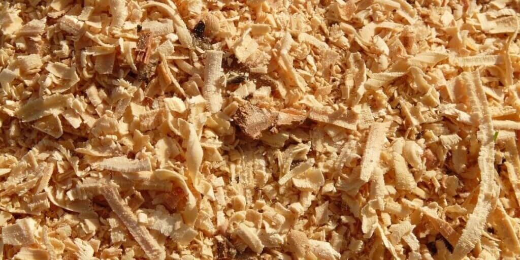 How to Make Wood Filler at Home? - Timber Blogger