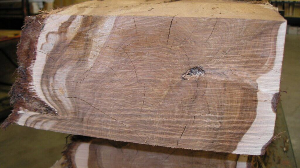 Cypress Wood | Types of Cypress and Uses - Timber Blogger