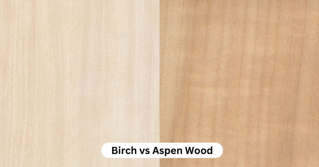 Birch vs Aspen | Which One Is Better? - Timber Blogger