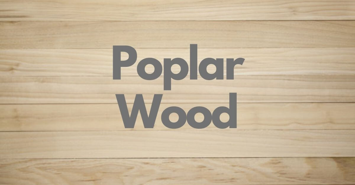 Poplar Wood Types Of Poplar Wood Uses Advantages And Disadvantages Poplar Wood Types Of Poplar Wood Uses Advantages And Disadvantages