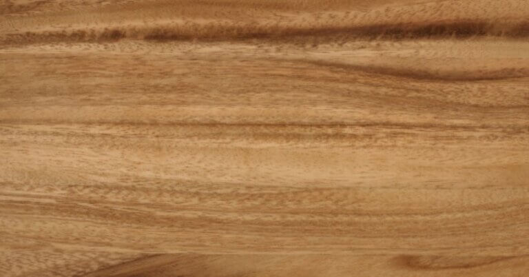 Acacia Wood | Uses, Advantages, and Disadvantages - Timber Blogger