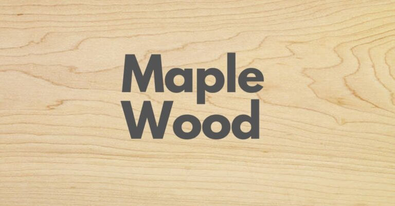 Maple Wood | Uses, Color, Advantages, and Disadvantages