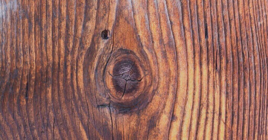 Chechen Wood | Uses, Advantages, and Disadvantages