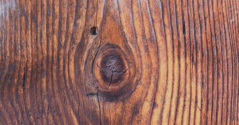 Chechen Wood | Uses, Advantages, and Disadvantages