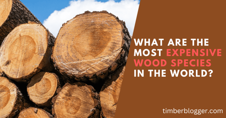 The 14 Most Expensive Wood Species in the World