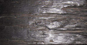 The 14 Most Expensive Wood Species in the World