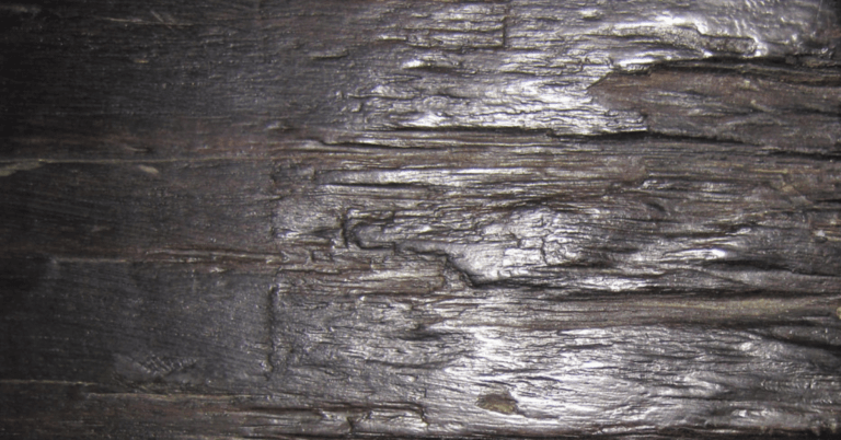 The 14 Most Expensive Wood Species in the World