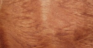 The 14 Most Expensive Wood Species in the World