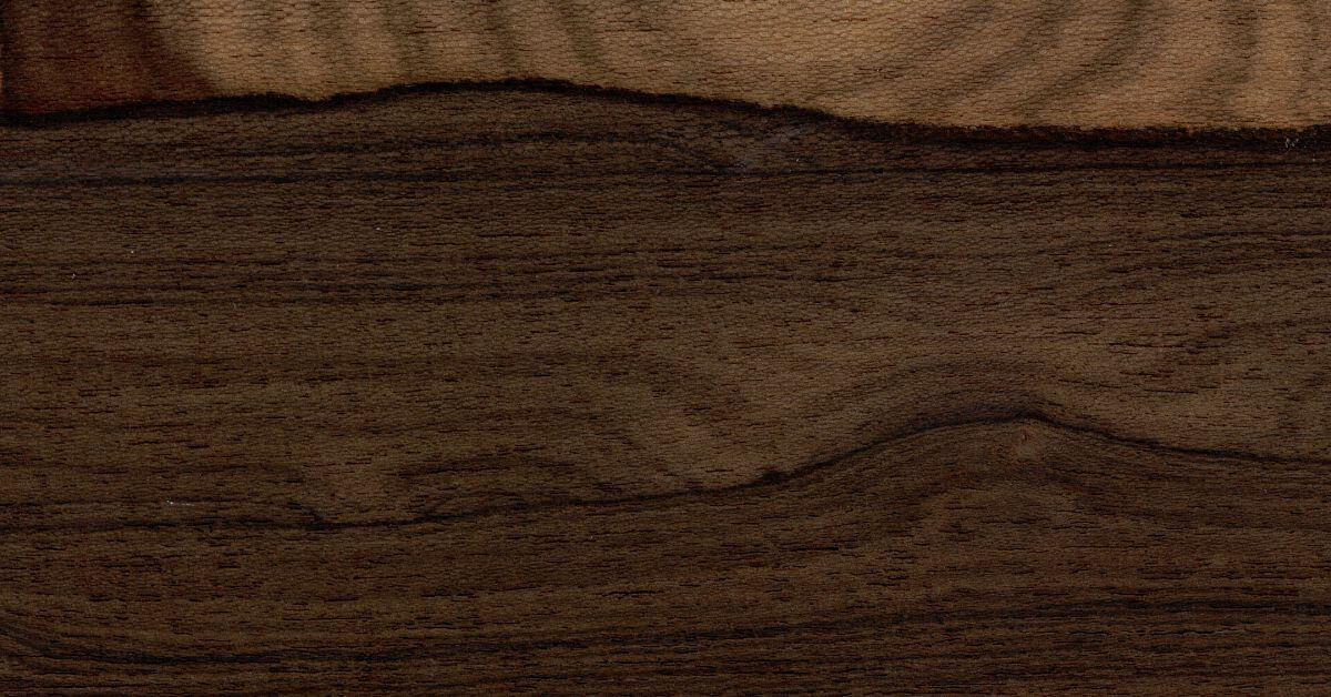 The 14 Most Expensive Wood Species in the World