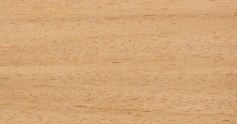 Iroko Wood - Characteristics, Uses, Pros and Cons - Timber Blogger