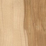 Types of Hickory Wood - Timber Blogger