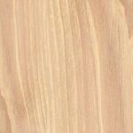 Types of Hickory Wood - Timber Blogger