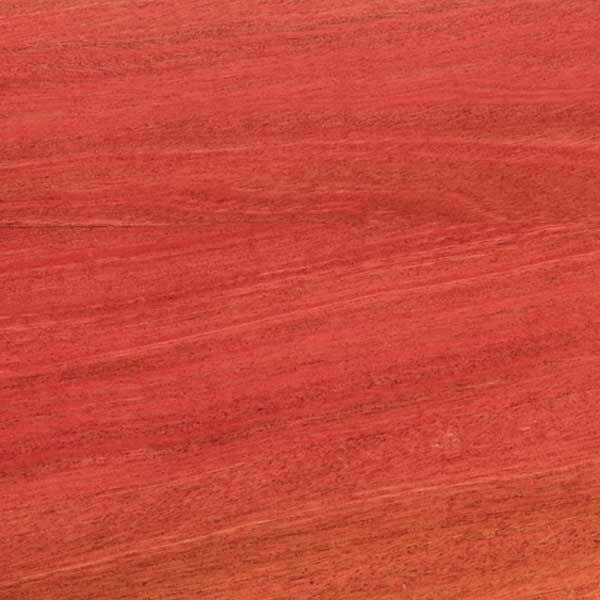 Pink Ivory Wood- Characteristics, Uses, Pros and Cons - Timber Blogger