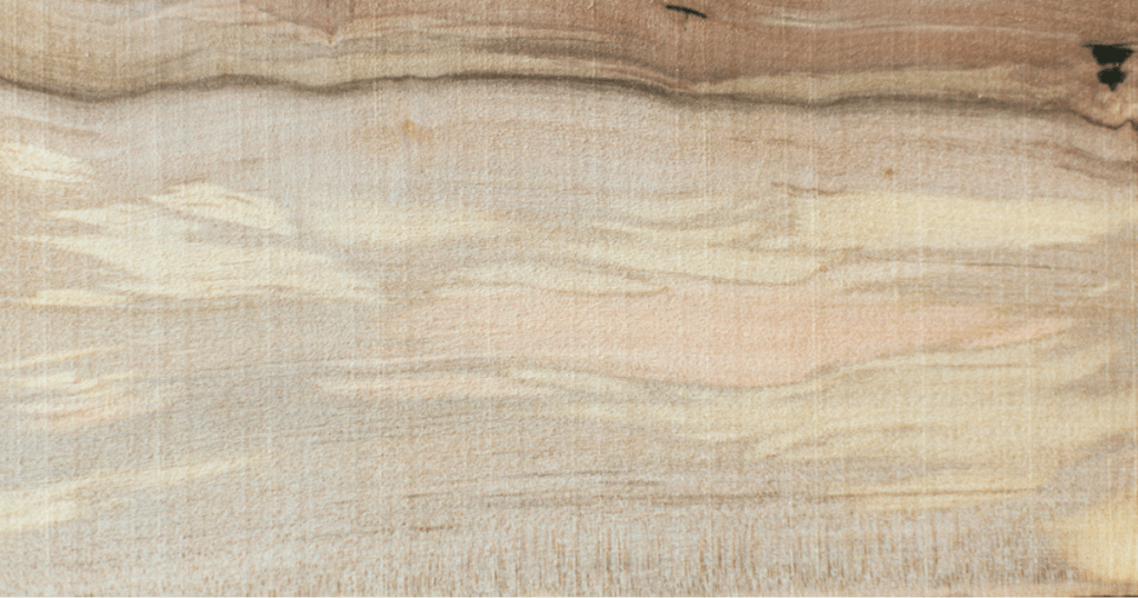 Sassafras wood– Characteristics, Uses, Pros and Cons - Timber Blogger