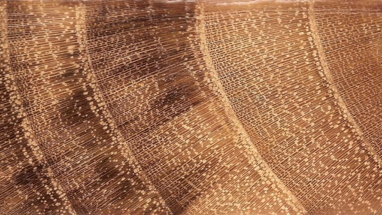 Black Locust Wood: The Ultimate Guide to Its Strength and Applications ...