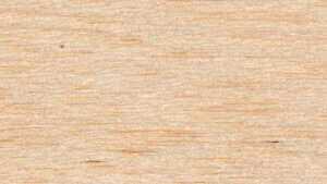 Balsa Wood vs Basswood: A Complete Comparison - Timber Blogger
