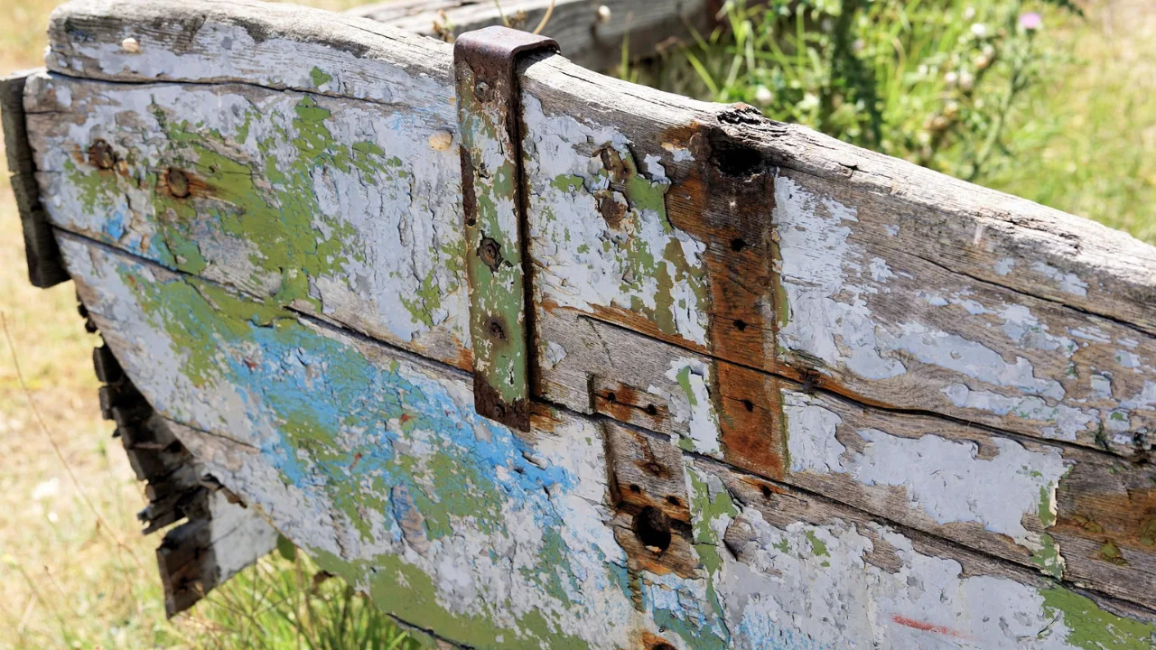 How to Clean Mold Off Wood? - Timber Blogger